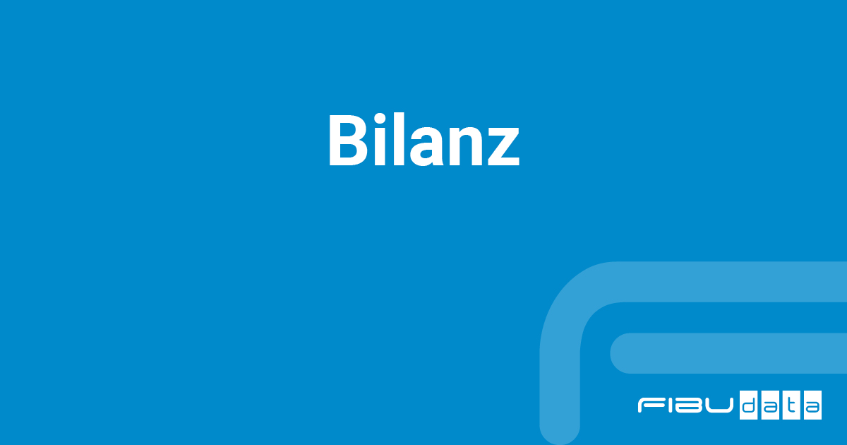 Bilanz – FIBUdata Softwareentwicklung