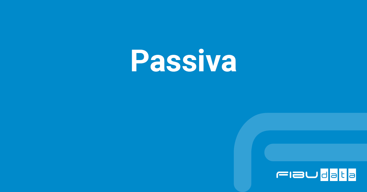 Passiva Definition – FIBUdata Softwareentwicklung